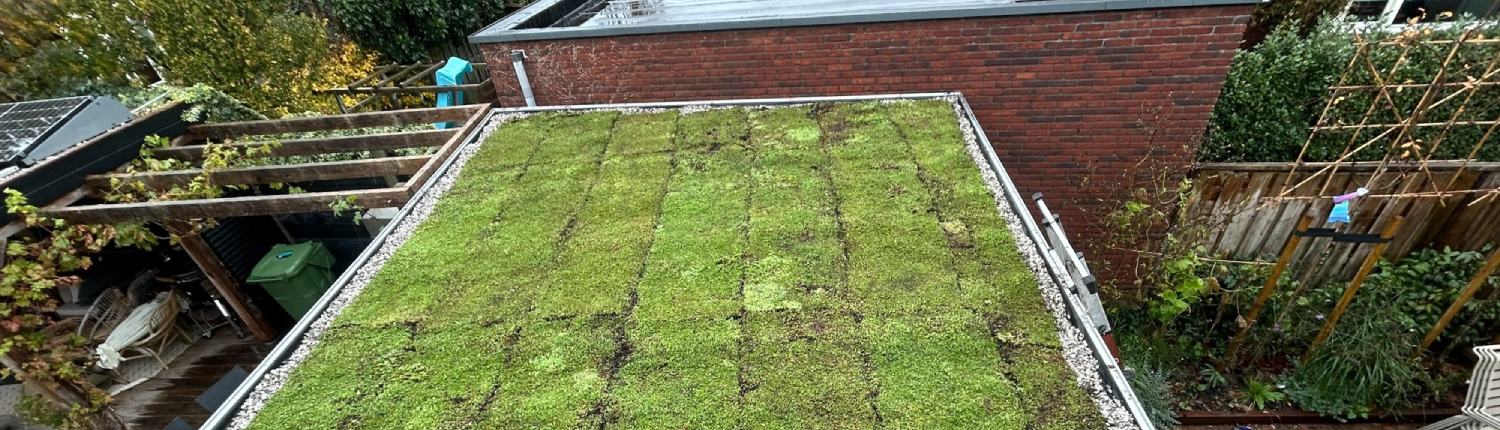 Zelf sedumdak aanleggen: stappenplan en tips uit de praktijk